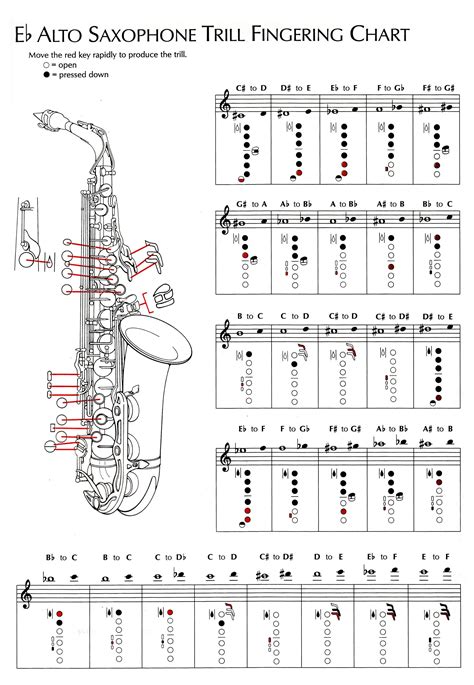 Chart Baritone Saxophone 12 Scales Poster For Sax Every Note In Any Key