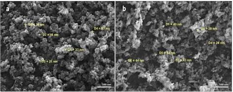 SEM Images Of A TiO2 Nanoparticle B ZnO Nanoparticle Download Scientific Diagram