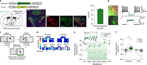 Optogenetic Inhibition Of Pvn Crf Neuronal Activity Drives Cpp A Left