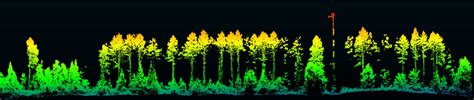 Forest Canopy Structure Characterized By Uav Lidar Routescene