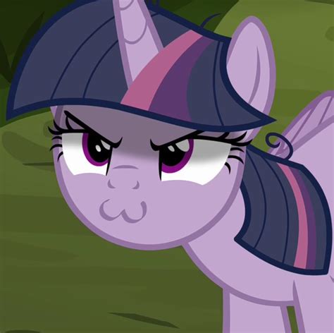 3 Fluttershy Rainbow Dash Mlp Twilight Princess Twilight Sparkle