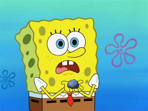 155b Sentimental Sponge Spongebob Captures
