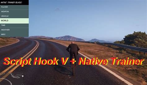 Script Hook V And Native Trainer GTA Gta Script Best Graphics