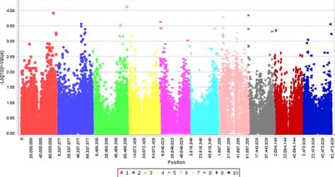 Manhattan Plot Showing Locations Of Snp Detected Qtls Associated With