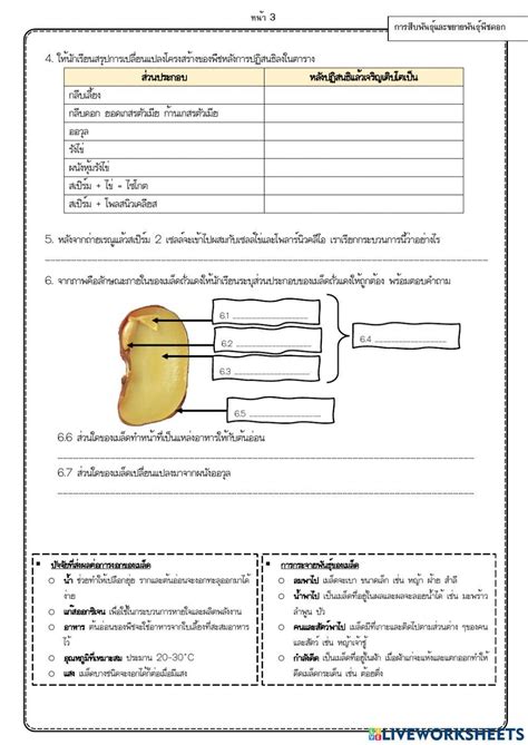 ใบงาน เรื่อง กา… Free Interactive Worksheets 7036357