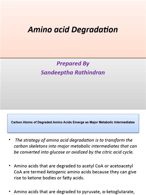 Amino Acid Degradation Pdf Amino Acid Diet And Nutrition