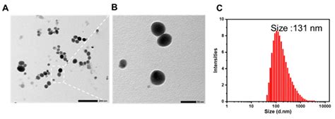 Theranostic Cancer Treatment Using Lentinan Coated Selenium Nanoparticles And Label Free Cest Mri