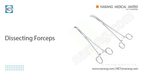 Dissecting Forceps Dissecting Forceps Suppliers Dissecting Forceps Manufacturer Dissecting