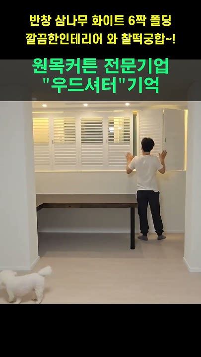반창 삼나무 화이트 6짝 폴딩깔끔한인테리어 와 찰떡궁합~ 실내인테리어 커튼추천 블라인드추천 이쁜커튼 이쁜창문 주문제작 루버 우드셔터 Youtube