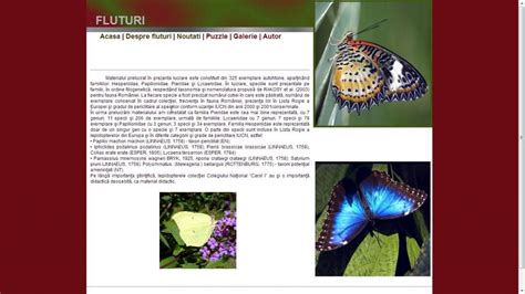 Atestat Informatica Fluturi Atestat Informatica Html 2020