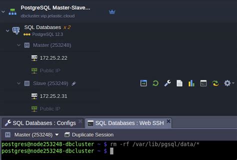 Postgresql Auto Clustering Virtuozzo Dev Docs