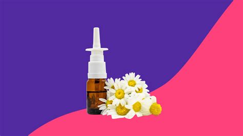 Xyzal Vs Allegra Differences Similarities And Which Is Better For You