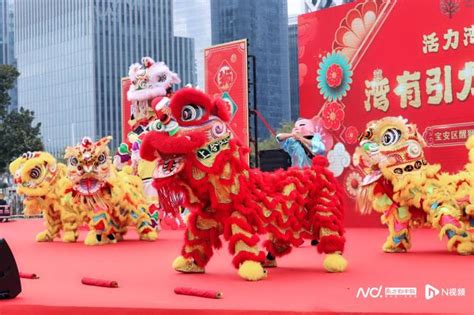 醒狮闹春深圳宝安民俗大巡游年味正浓 深圳24小时 深新闻 奥一网