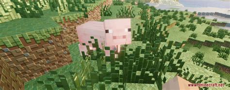 Super Scalar Shaderpack 1201 1194 Mc Modnet