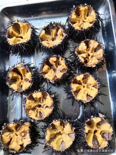 長島大壯漁家樂這個秋天你一定要來這裡看一看 每日頭條