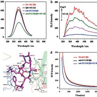 A Design Of Mc Lr Sensors Based On Anti Mc Lr Qds Nanohybrids B Download Scientific