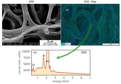 A Scanning Electron Microscopy Sem Image And B Energy Dispersive