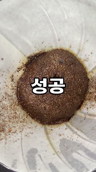 오늘의 핸드드립🫘 원두 코스타리카 따라주 Shb 워시드 Coffee Youtube