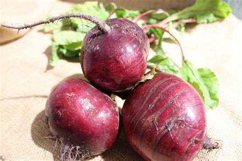 Beetroot Bunch Mckees Country Store Farm Shop And Restaurant Newtownards