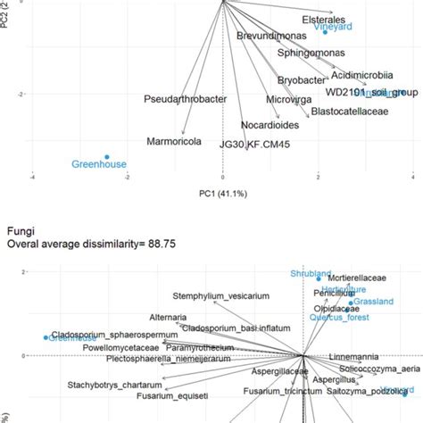 Principal Component Analysis Pca Representing Similarity Of