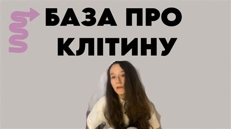 Будова клітини база ґрунт фундамент від клітинної біологині Youtube