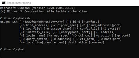 Open System Shell Does Not Work · Issue 2222 · Thonnythonny · Github