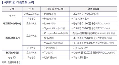 국내 기업 리튬 확보 노력