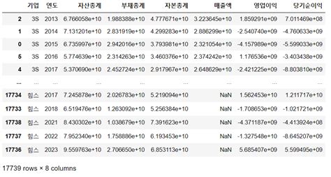 파이썬 금융 Dart Api 사용자 정의 함수를 통한 재무제표 추출