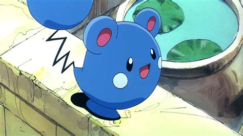 Azurill Pokémon Wiki Fandom Powered By Wikia