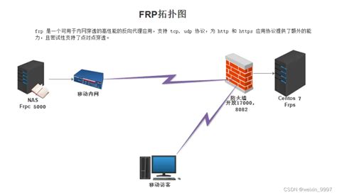 Frp 内网穿透（基于centos7 ）centos7 Frps Csdn博客