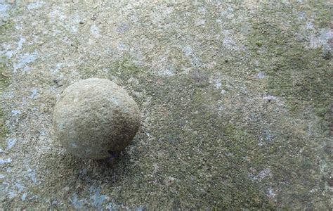 Solid Free Stock Photo Public Domain Pictures