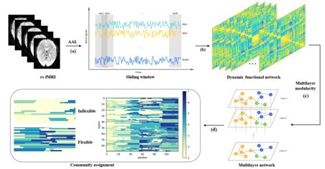 Flowchart Of Analysis Steps A Preprocess The Images And Extract Time Download Scientific