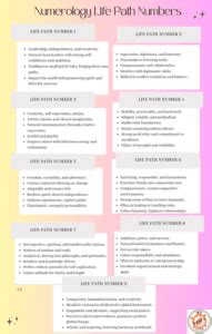 Numerology Numbers Discover Your Life Path MyLifeDraft