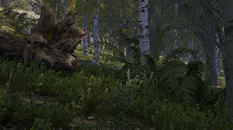 RUST Temperate Biome Guide Corrosion Hour