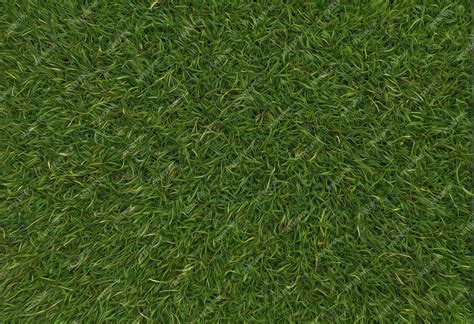 Premium Photo Texture Background A Square Frame With A Green Grass