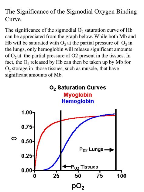 PPT Myoglobin PowerPoint Presentation Free Download ID