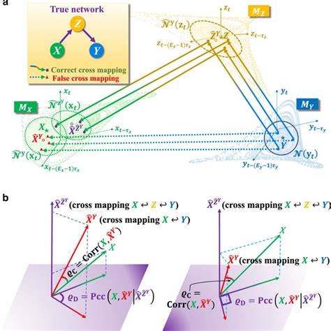 Direct Versus Indirect Causal Links A There Is Directional Interaction Download Scientific