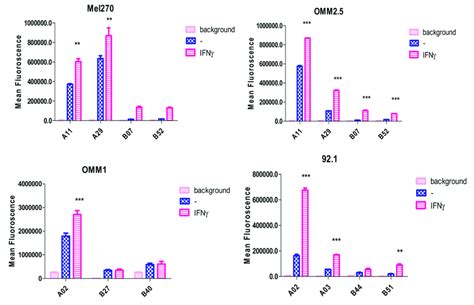 hla typed uveal melanoma um cell lines can be analysed by