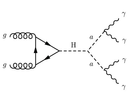 Feynman Diagram Higgs Boson Decay Diagram Media
