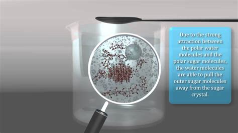 Particulate Diagram Sugar Water Solved D 1 Consider The Sug