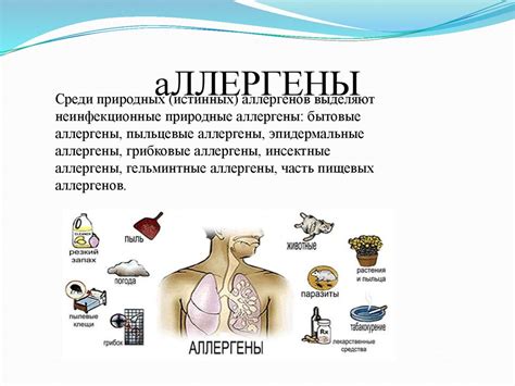 Аллергия. Аллергены - презентация онлайн