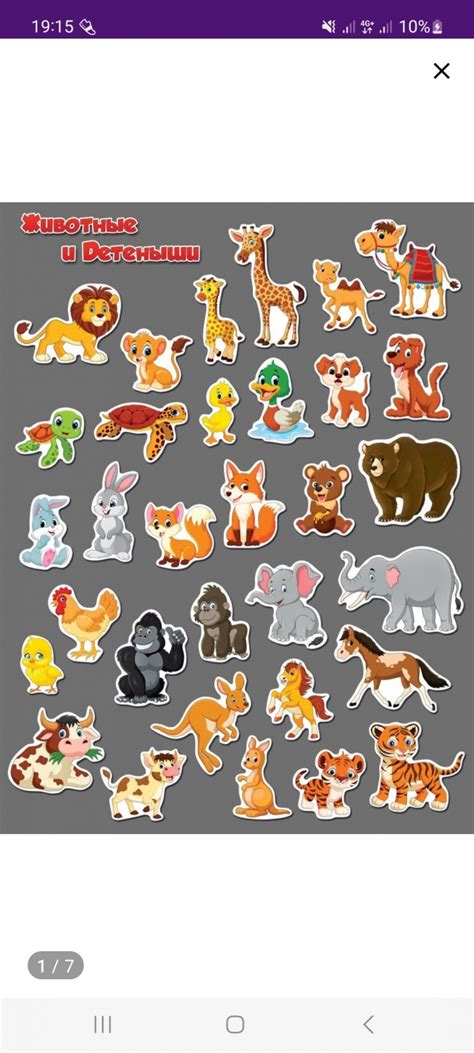 Магниты ИП Новиков В В Развивающие для детей Животные и Детеныши