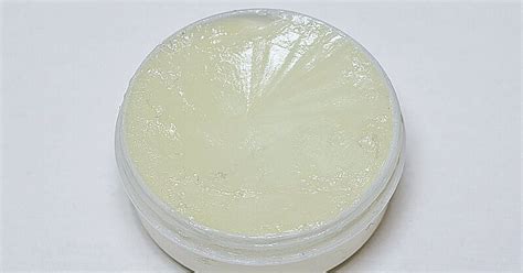 Conoce El Truco Para Eliminar Cucarachas Con Vaselina Infobae