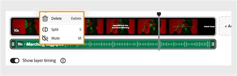 Adjust Audio Tracks