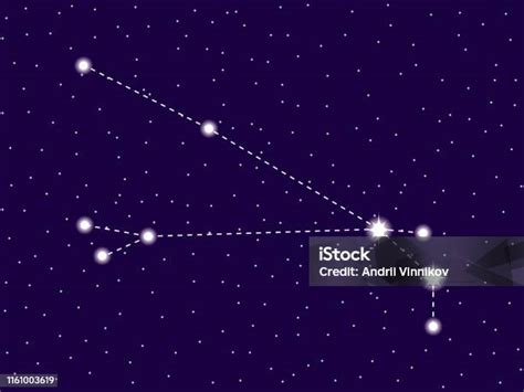 양자리 별자리 별이 빛나는 밤 하늘입니다 별과 은하의 클러스터 깊은 공간 벡터 일러스트레이션 Planetarium Building에 대한 스톡 벡터 아트 및 기타 이미지