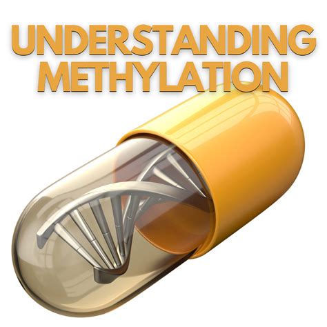Understanding Methylation Unveiling The Mystery Of Nutrient Utilizat Leafsource®