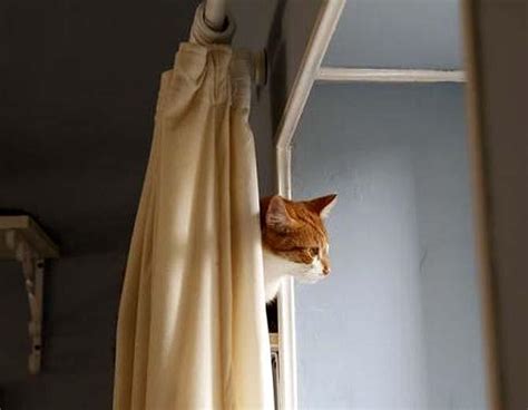 20 Life Lessons I Learned In My 20s Rediff Getahead