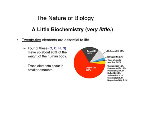 Lec2 Lecture Notes For Bioligy Twenty Five Elements Are Essential To Life Four Of These O
