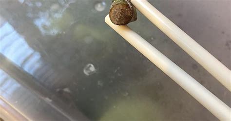 Ww Node Album On Imgur