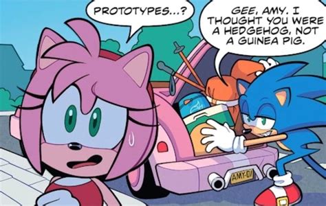 The Cutest Moments Of Sonic And Amy In Idw Cómics I Love Them So Much